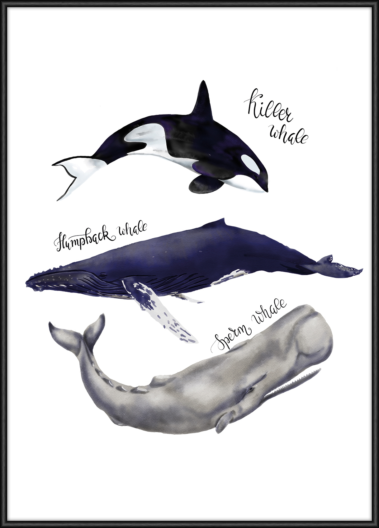 Cetacea - Framed Poster - Incado