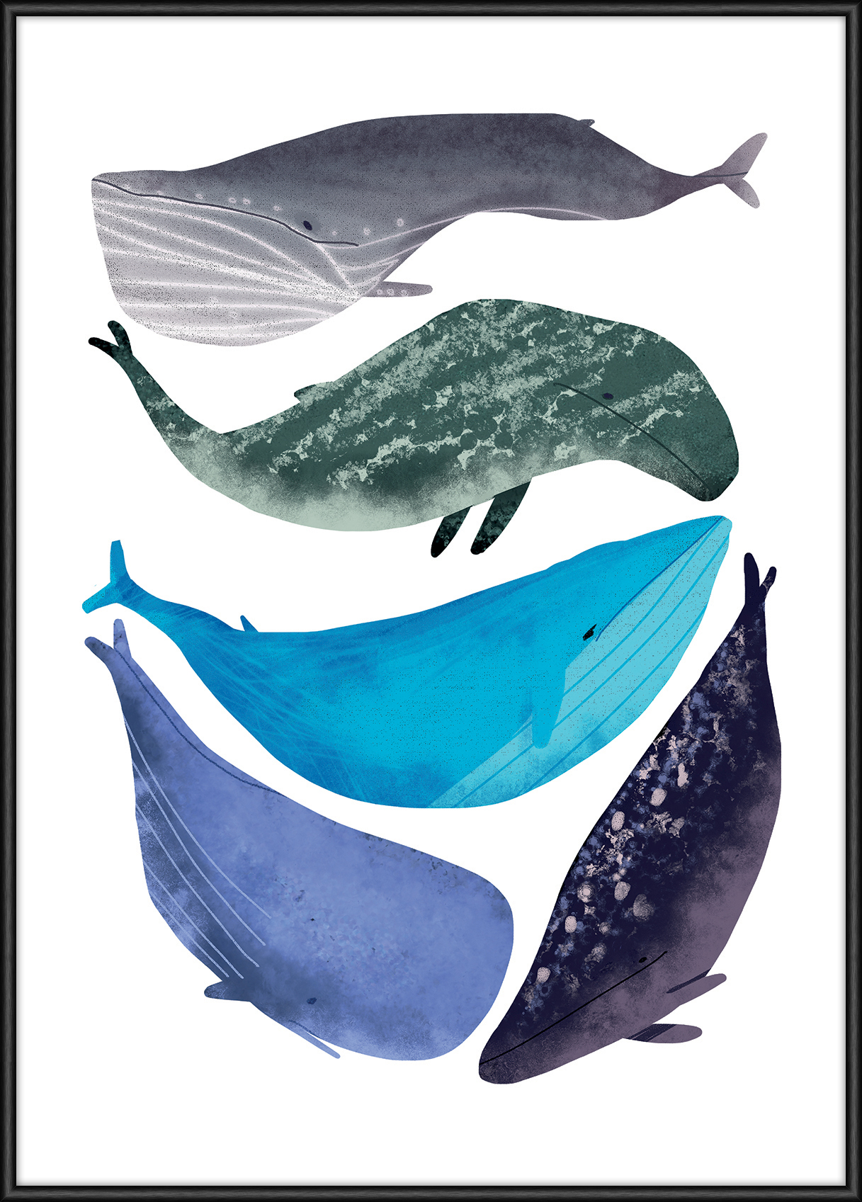 Cetacea II - Framed Poster - Incado