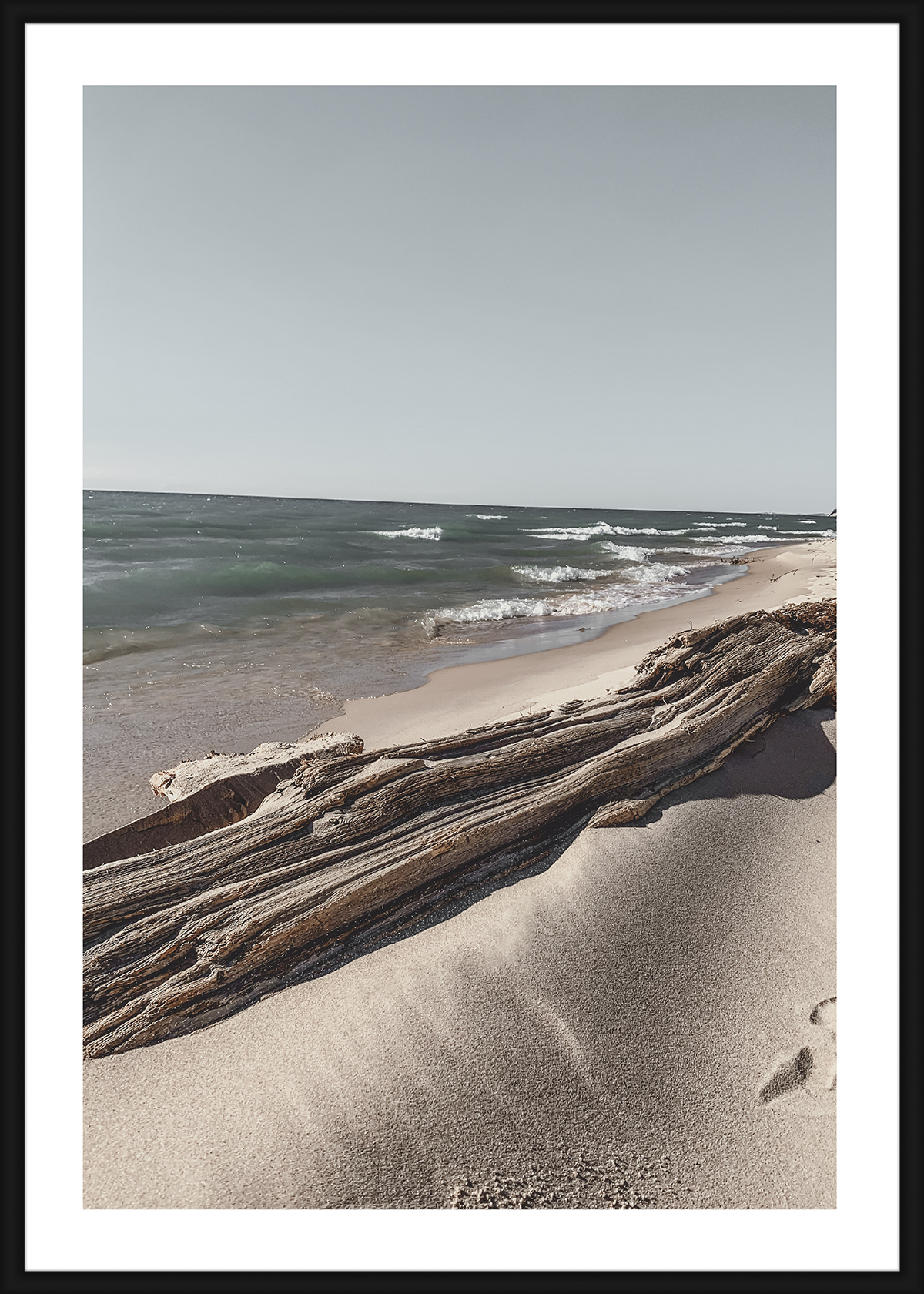 Beach Timber - All Framed Posters - Incado